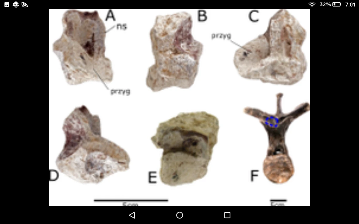 Paranthodon | Godzilla and friends Wiki | Fandom