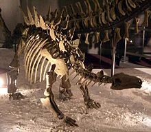 Chungkingosaurus | Godzilla and friends Wiki | Fandom