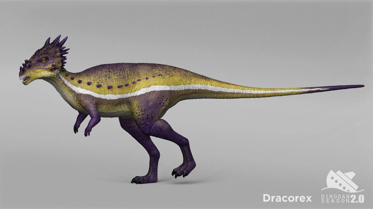 Dracorex | Godzilla and friends Wiki | Fandom