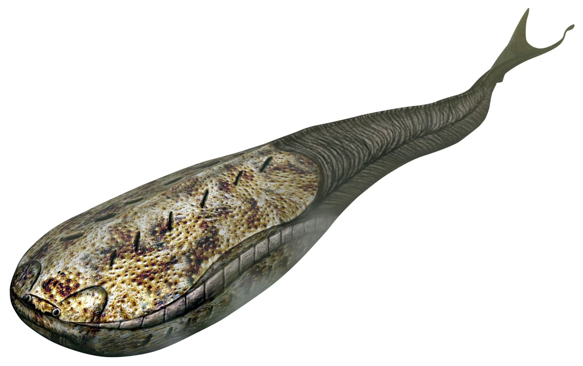 Sacabambaspis | Godzilla and friends Wiki | Fandom