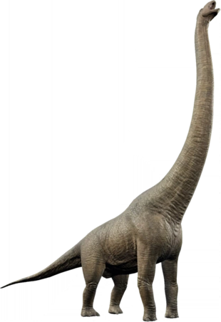 Dreadnoughtus | Godzilla and friends Wiki | Fandom