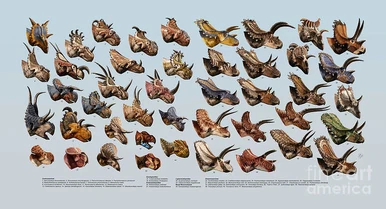 Ceratopsians | Godzilla and friends Wiki | Fandom