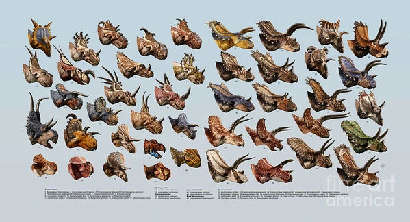 Ceratopsians | Godzilla and friends Wiki | Fandom
