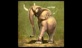 Butu | Godzilla and friends Wiki | Fandom