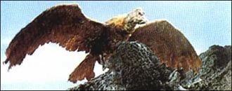 Giant Condor | Godzilla Fan net. Wikia | Fandom