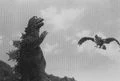 Giant Condor/Gallery | Godzilla Fan net. Wikia | Fandom