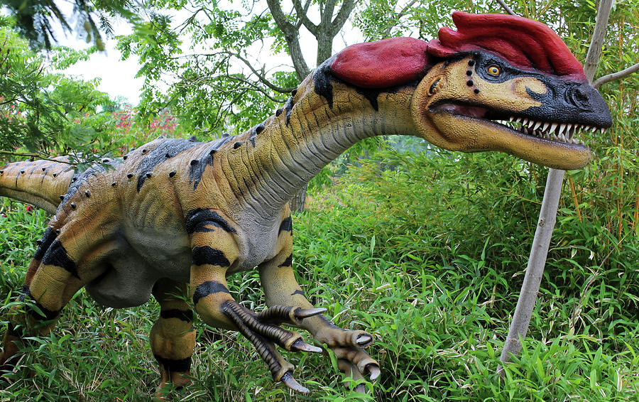 Driolophosaurus Godzilla Kaiju Wars Unleashed Wiki Fandom