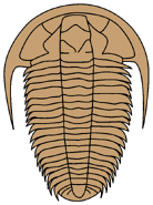 Godzilla: The Monstrous Mission/Lagos Islanders/Others Creatures ...