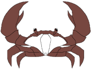 Godzilla: The Monstrous Mission/Faro Islanders/Other Creatures ...