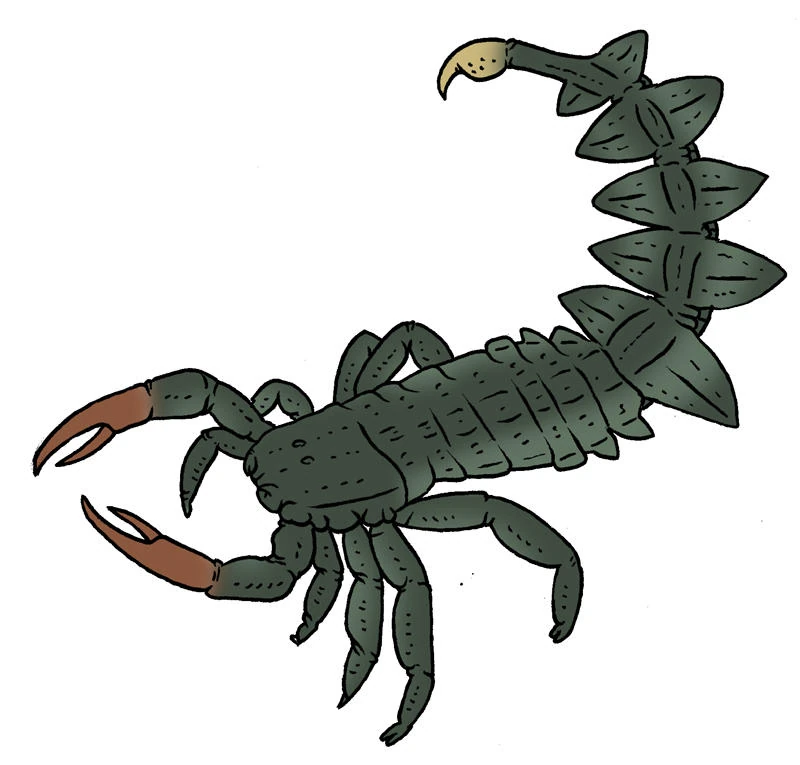 Swamp Scorpion | Godzilla titan Wiki | Fandom