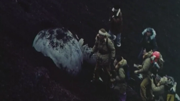 Adonoa | Godzilla-Wiki | Fandom