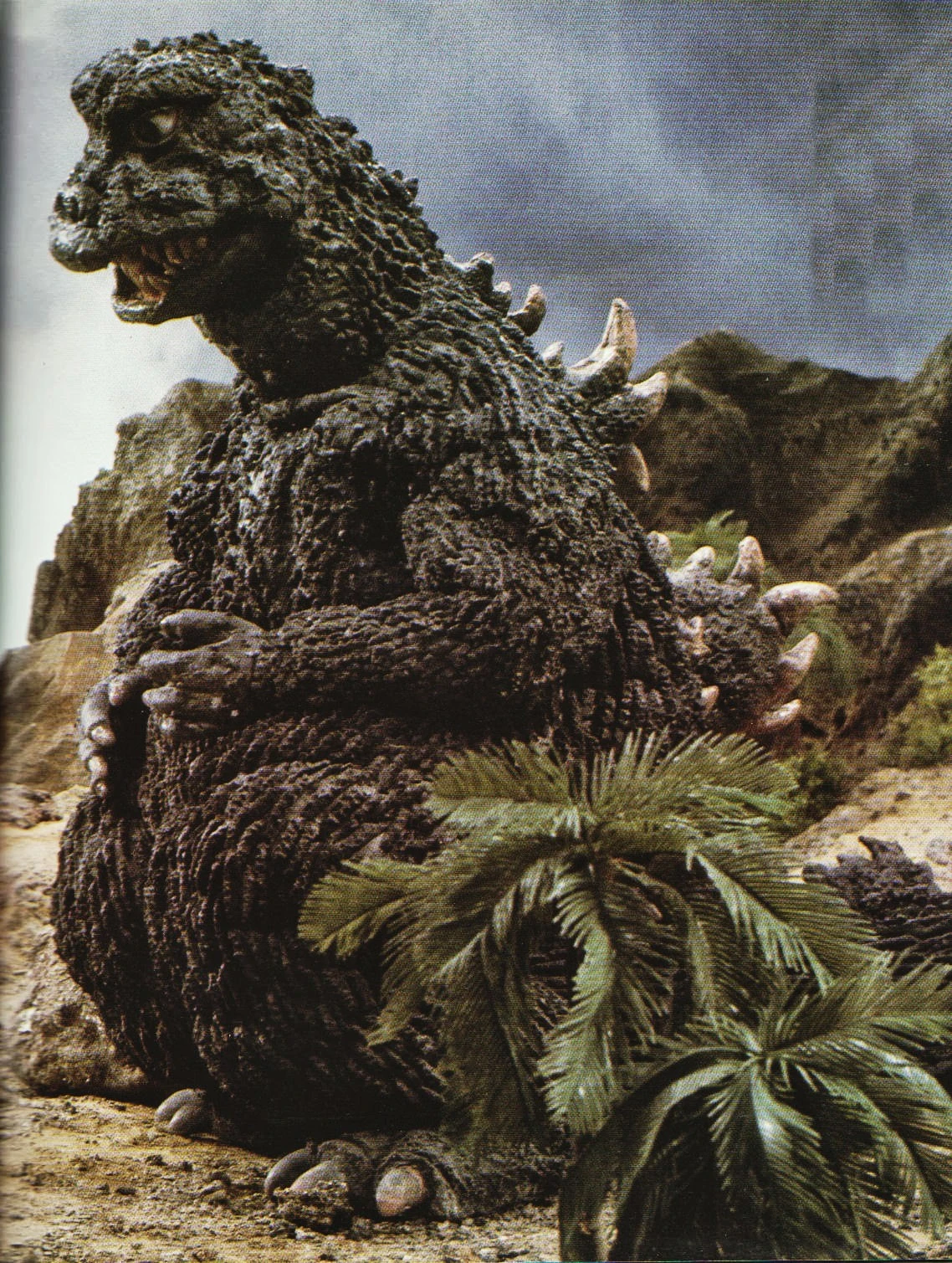 MusukoGojira | Wiki Godzilla | Fandom