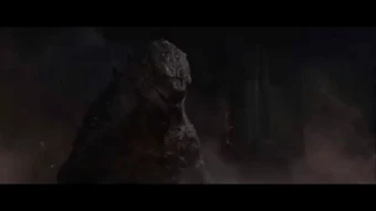 Godzilla Vs Winged Muto