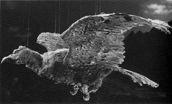 Giant Condor - Gallery | Gojipedia | Fandom