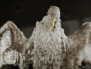 Giant Condor | Godzilla-Wiki | Fandom