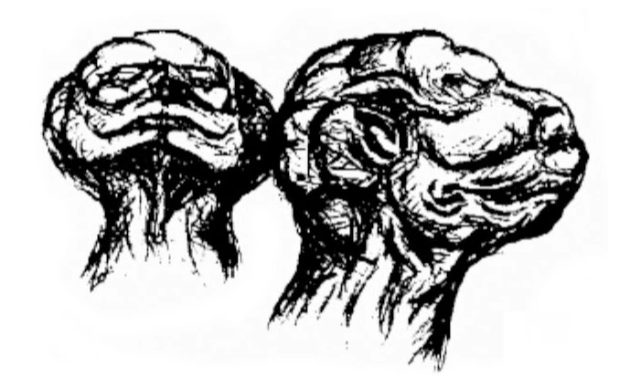 Godzilla - Gallery | Gojipedia | Fandom