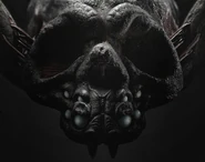 Kong: Survivor Instinct | Gojipedia | Fandom