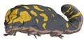 Giant Gila Monster | Gojipedia | Fandom