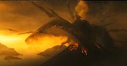 Rodan (MonsterVerse) | Godzilla Wiki | Fandom