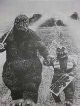 MusukoGoji | Godzilla-Wiki | Fandom