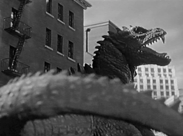 Rhedosaurus | Godzilla Wiki | Fandom