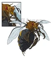 Giant Mutant Bee | Gojipedia | Fandom