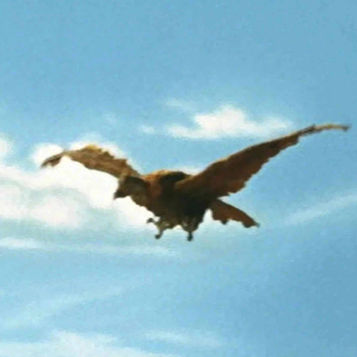 Ookondoru (MLP) | Zilla Fanon Wiki | Fandom