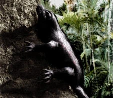 Giant Lizard | Godzilla Wiki | Fandom