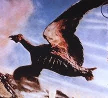 Rodan | Godzilla Trilogy Wiki | Fandom