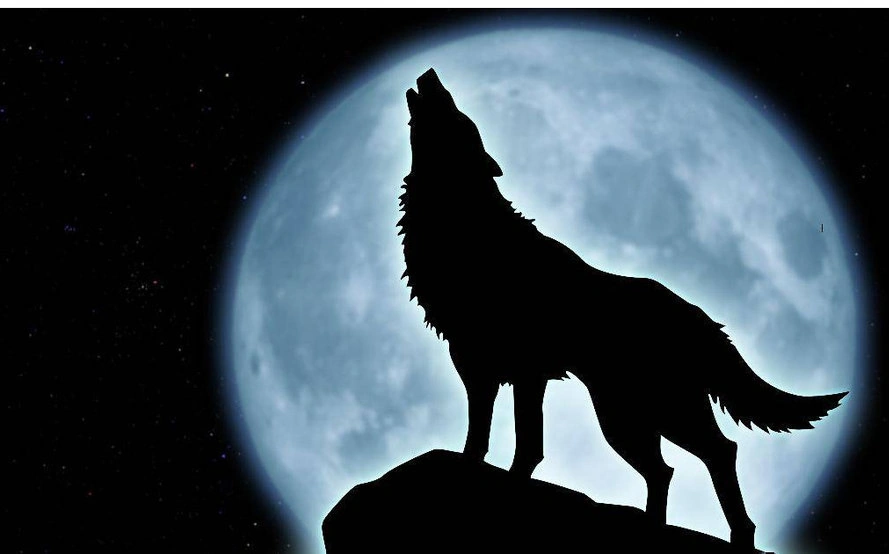 Niru | Godzillawebshow Wiki | Fandom