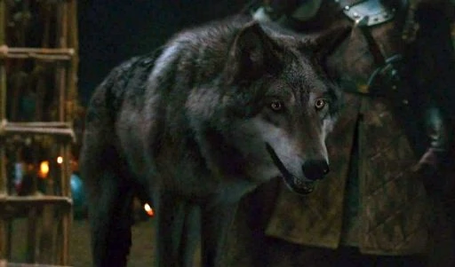 Grey Wind | Goff Wiki | Fandom