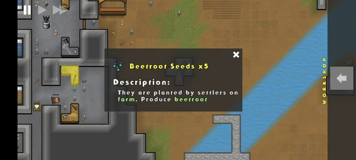 Beetroot Seeds | Going Deeper! Wiki | Fandom