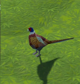 Pheasant - Going Medieval Wiki