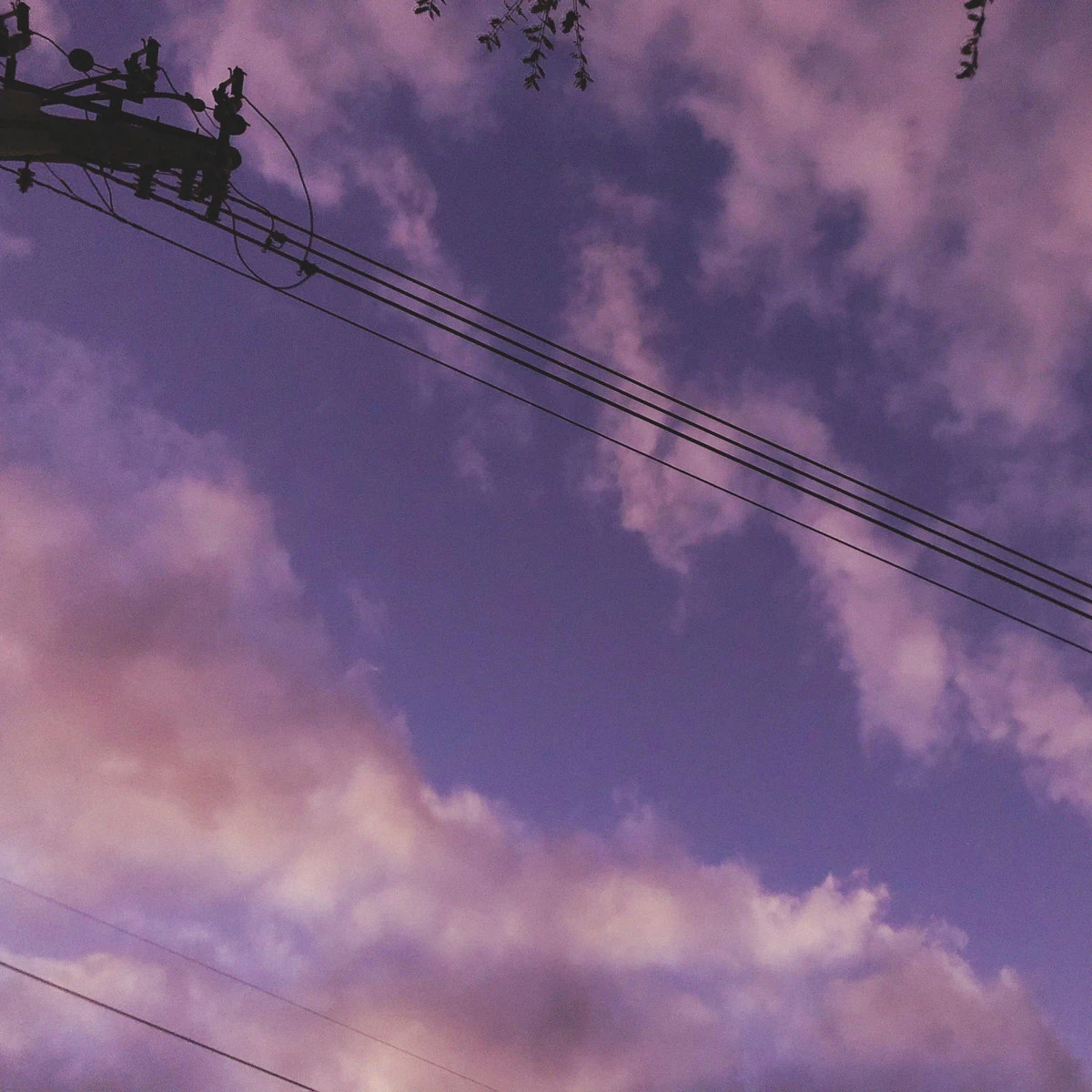 Nightlight | ♥ GOJII ♥ Music Wiki | Fandom