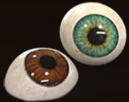 Eye Replacement | Gold Fever Wiki | Fandom