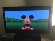 The New Adventures of Peter Rabbit | Golden Films Wiki | Fandom