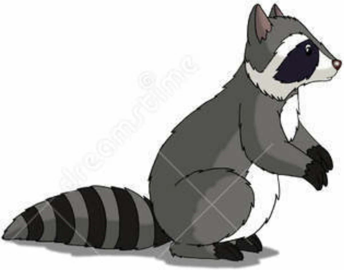 Ryan The Raccoon | Golden Films Wiki | Fandom