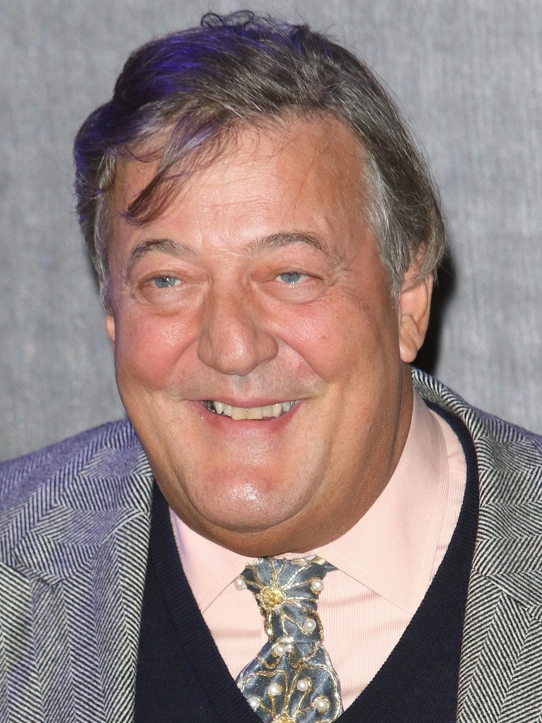 Stephen Fry | Golden Films Wiki | Fandom