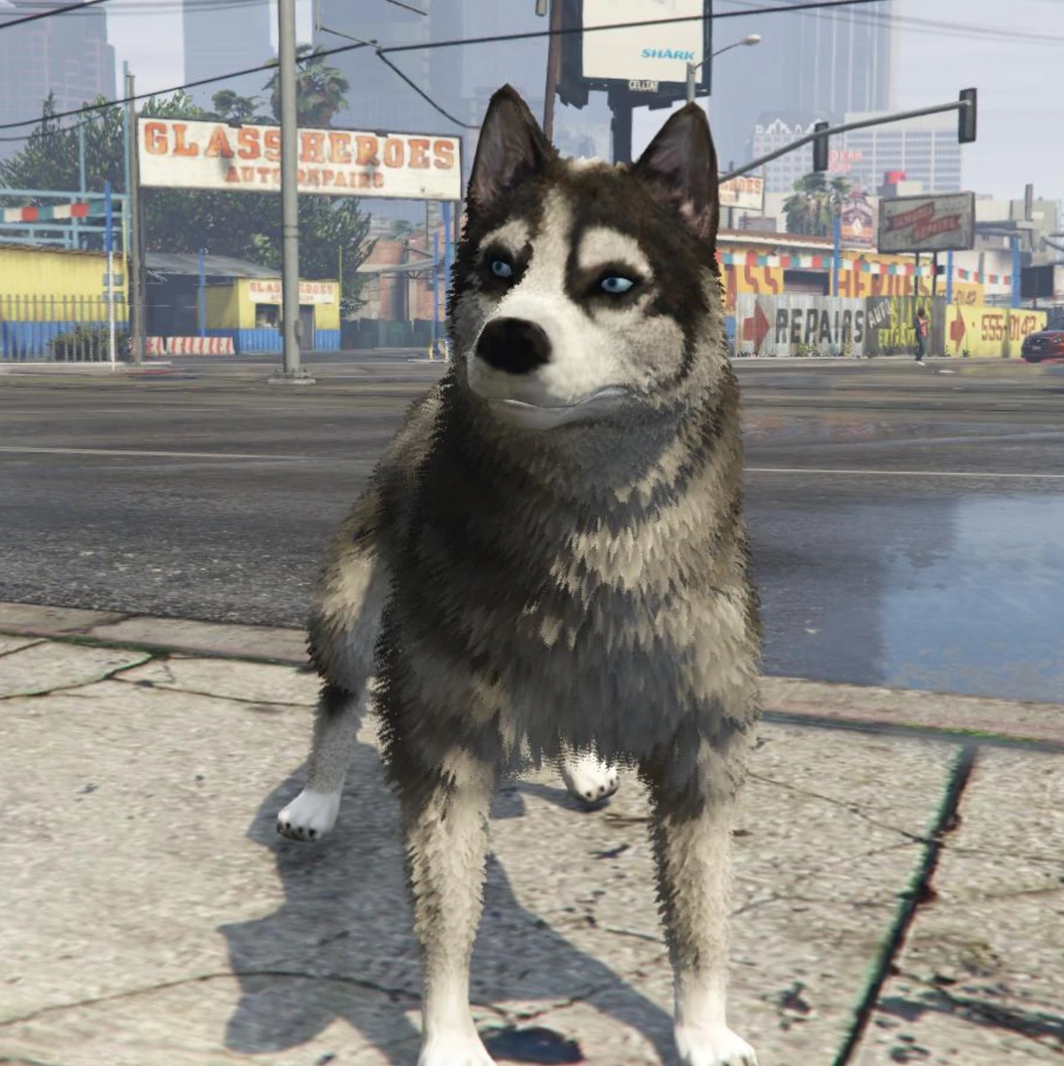 Bailey the Dog | Golden Phantom Wiki | Fandom