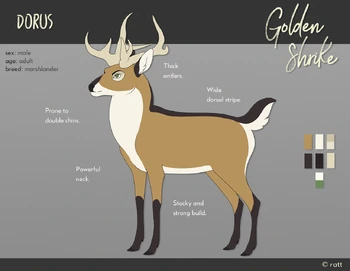 Dorus | Golden Shrike Wiki | Fandom