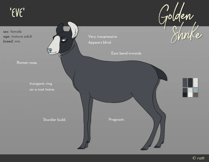 Eve | Golden Shrike Wiki | Fandom