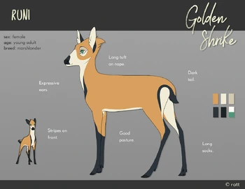 Runi | Golden Shrike Wiki | Fandom