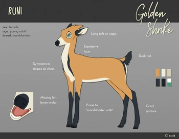 Runi | Golden Shrike Wiki | Fandom