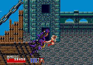 The Castle Gate | Golden Axe Wiki | Fandom