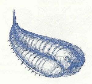 Sandworm | Golden Axe Wiki | Fandom