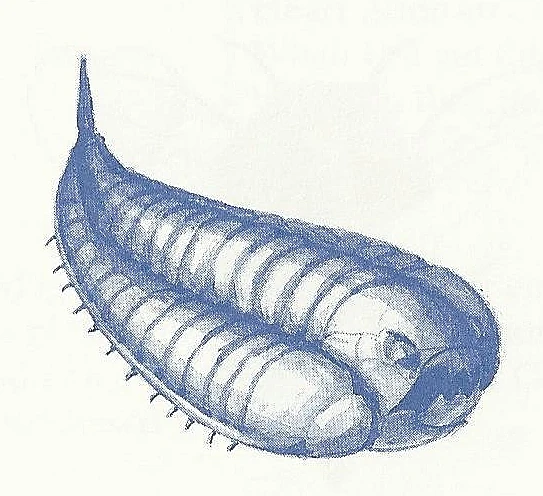 Sandworm | Golden Axe Wiki | Fandom