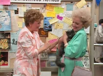 Rose Nylund | Golden Girls Wiki | Fandom