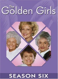 DVD Box Sets | Golden Girls Wiki | Fandom