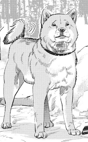 Ryu | Golden Kamuy Wikia | Fandom