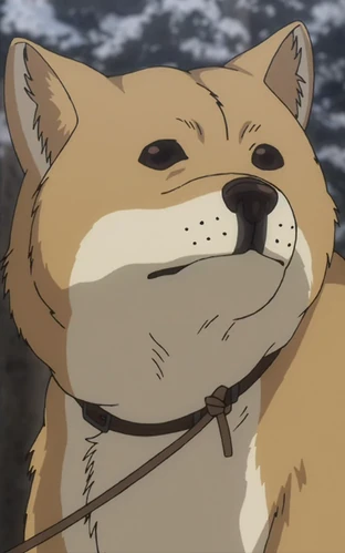 Ryu | Golden Kamuy Wikia | Fandom